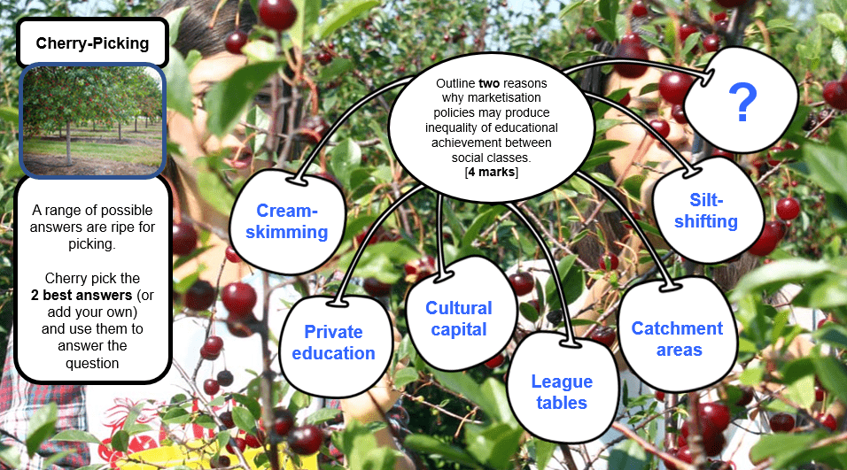 ShortCutstvCherry-Picking Revision